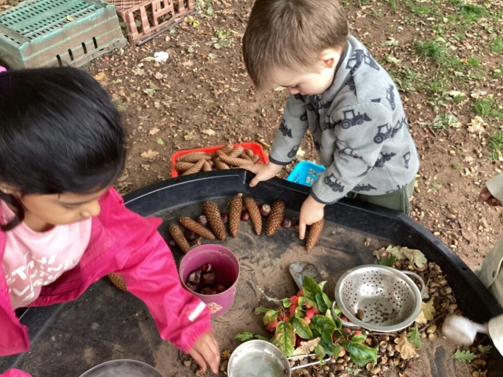 January Learning: Traditional Tales and Independence at Little Hayes ...